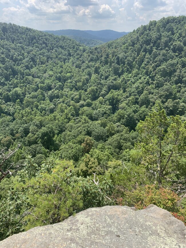 Hike The Pinnacles in Berea - LexFun4Kids