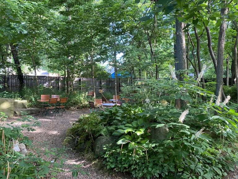 Kentucky Native Cafe: Enjoy dinner in a garden! - LexFun4Kids