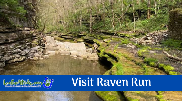 Raven Run Events & Review - LexFun4Kids