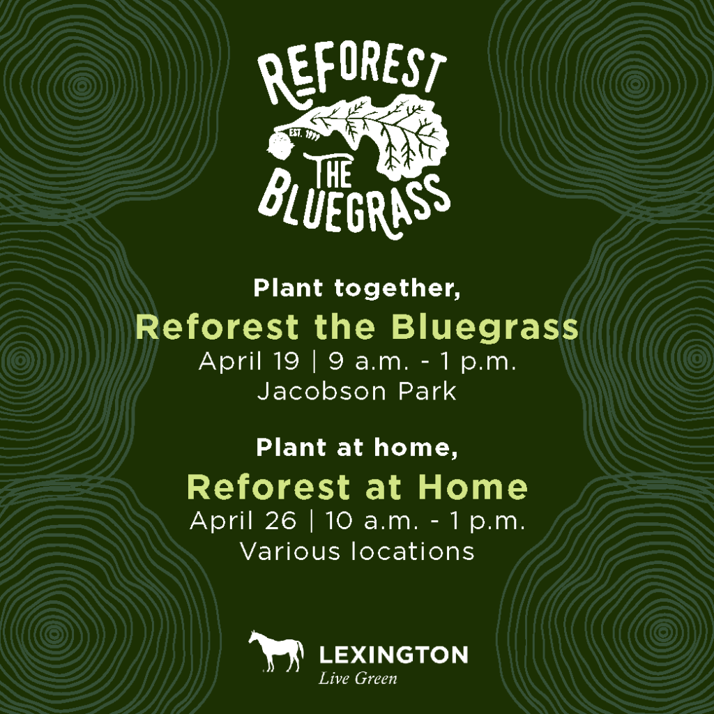 Reforest the Bluegrass - LexFun4Kids